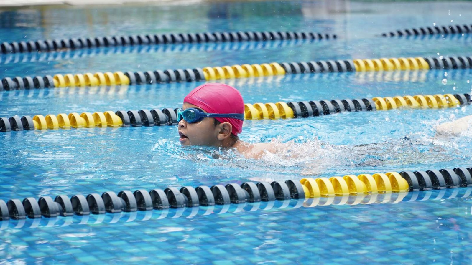 Understanding the Dolphin Kick For Faster Swimming